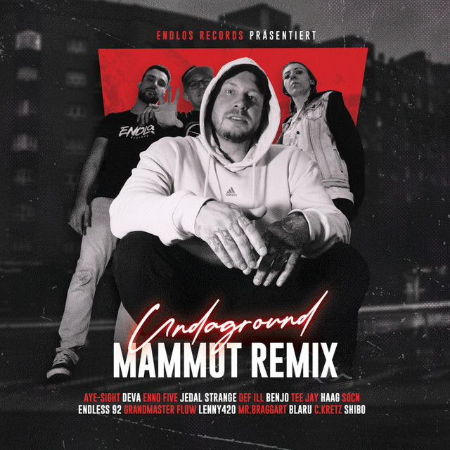 Undaground - Mammut Remix - song and lyrics by Shibo, Blaru, C.KRETZ ...