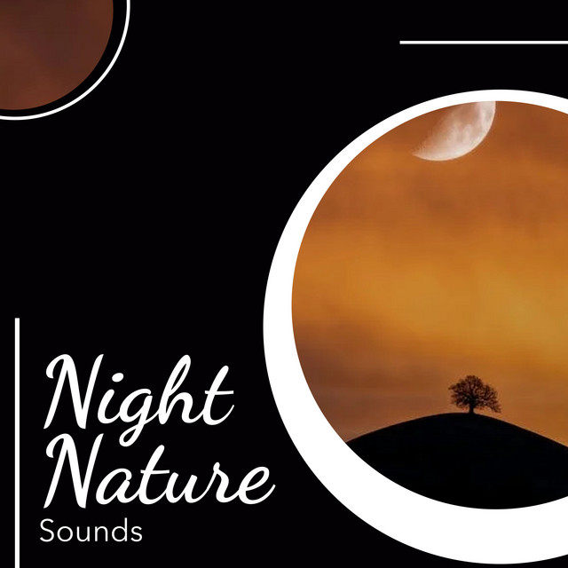 Night Nature Sounds - Album by Night Nature Sounds | Spotify