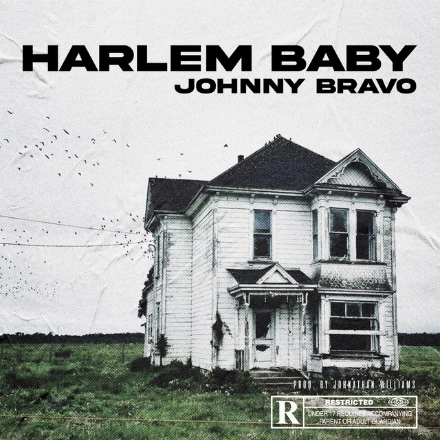 HARLEM BABY - Album by Johnny Bravo | Spotify