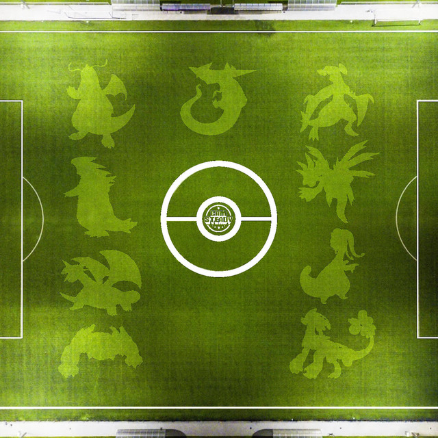 Pokemon Battle Field