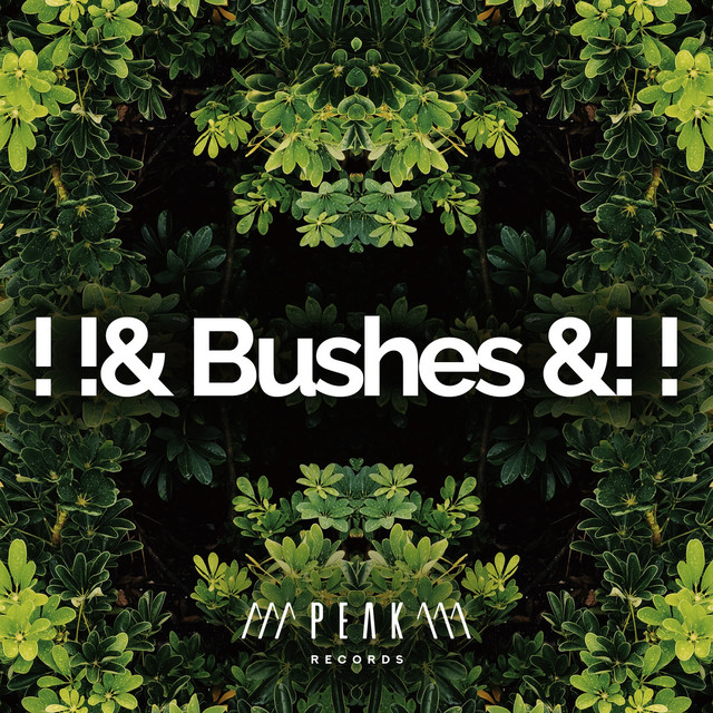 Bushes &! ! - Album by Forest Sounds | Spotify
