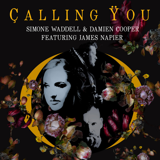 Calling You - song by Simone Waddell, Damien Cooper, James Napier | Spotify