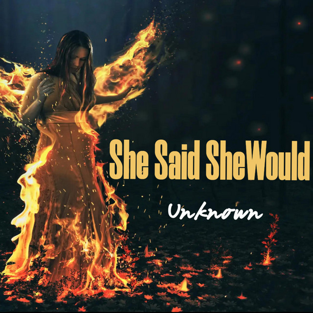 She Said She Would - Single by Unknown Da Gawd | Spotify