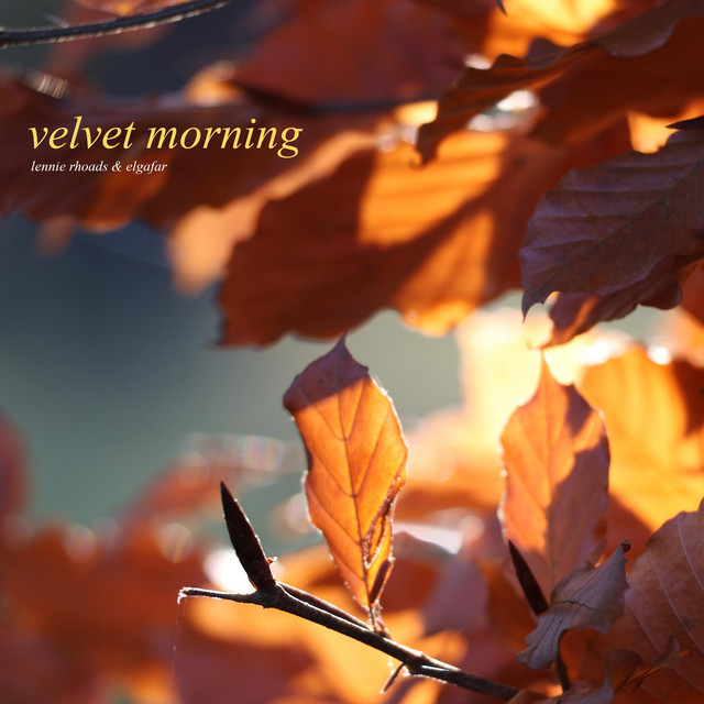 Velvet Morning - Single by Lennie Rhoads | Spotify