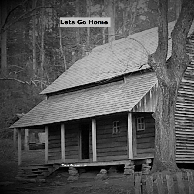 Let's Go Home - Single by Wayne Galloway | Spotify