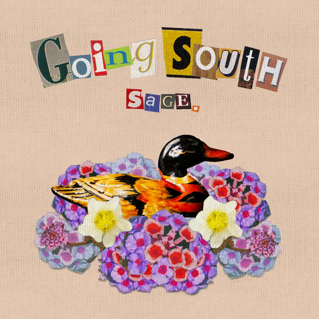 Going South - Single by Sage. | Spotify
