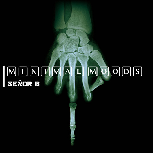 Minimal Moods - Album by Señor B | Spotify