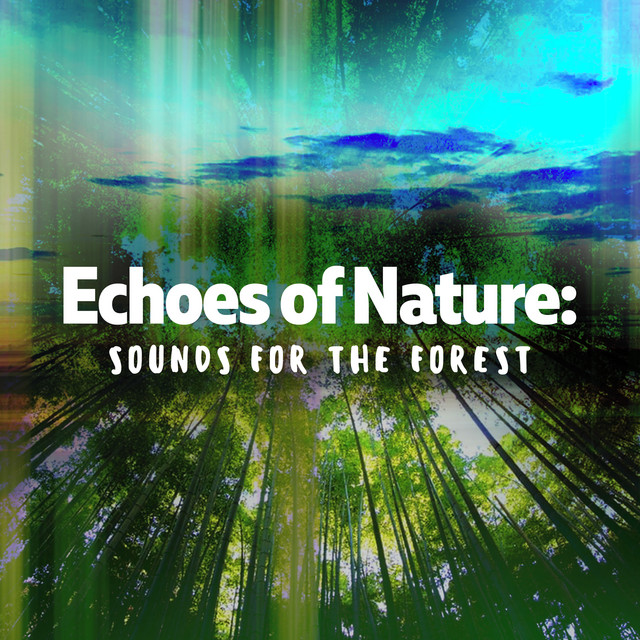 Echoes of Nature: Sounds for the Forest - Album by Echoes Of Nature ...