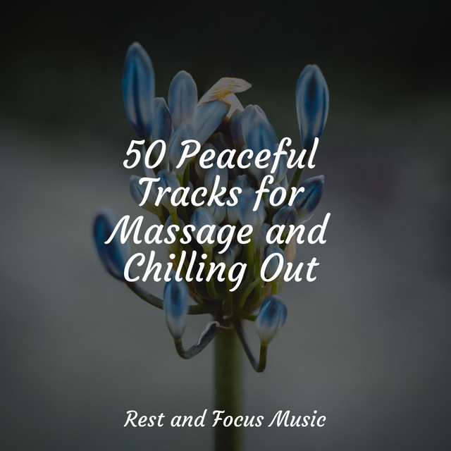 50 Peaceful Tracks for Massage and Chilling Out - Album by Soothing ...