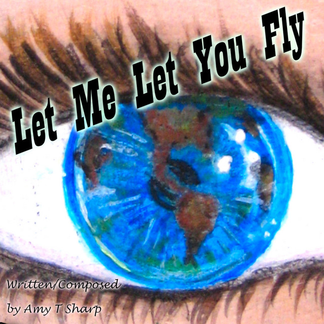 Let Me Let You Fly - Single by Amy T Sharp | Spotify