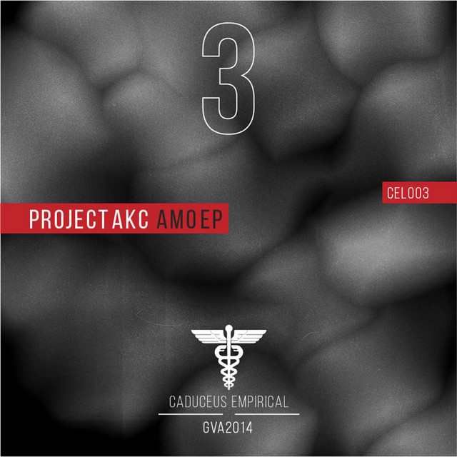 Amo - Single by PROJECT AKC | Spotify