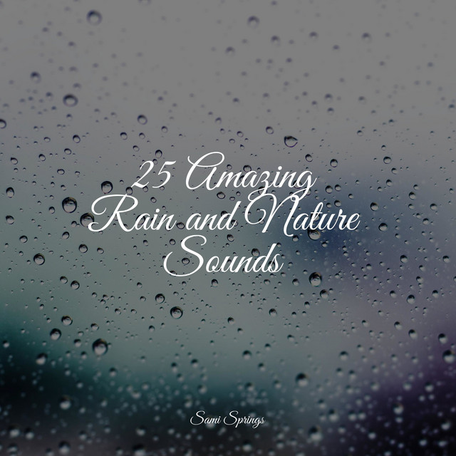 25 Amazing Rain and Nature Sounds - Album by FX & Effects | Spotify