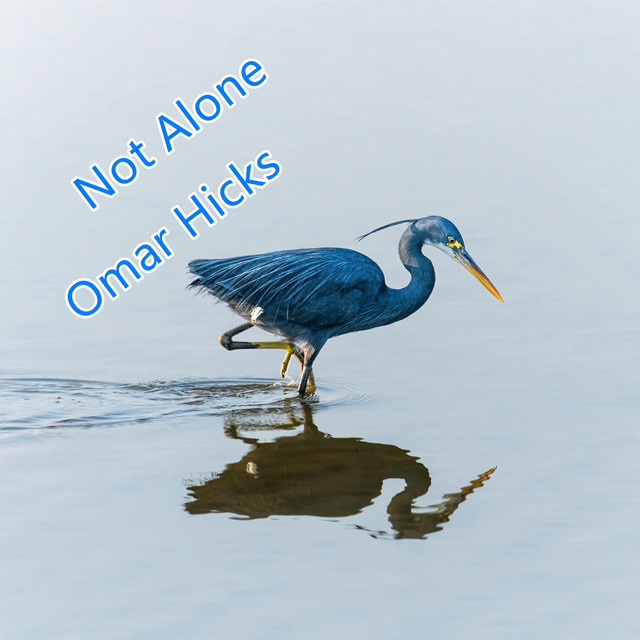 Omar Hicks | Spotify