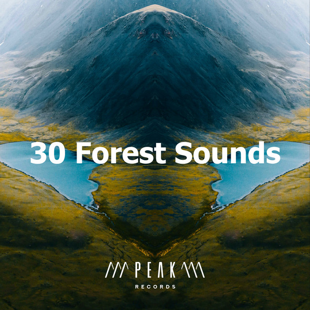 30 Forest Sounds - Album by Nature & Sounds Backgrounds | Spotify