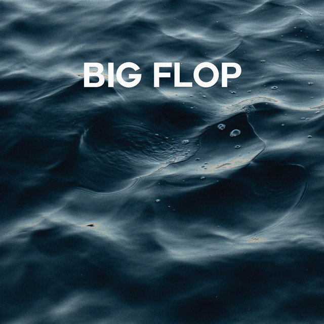 BIG FLOP - Single by SIDIAD | Spotify