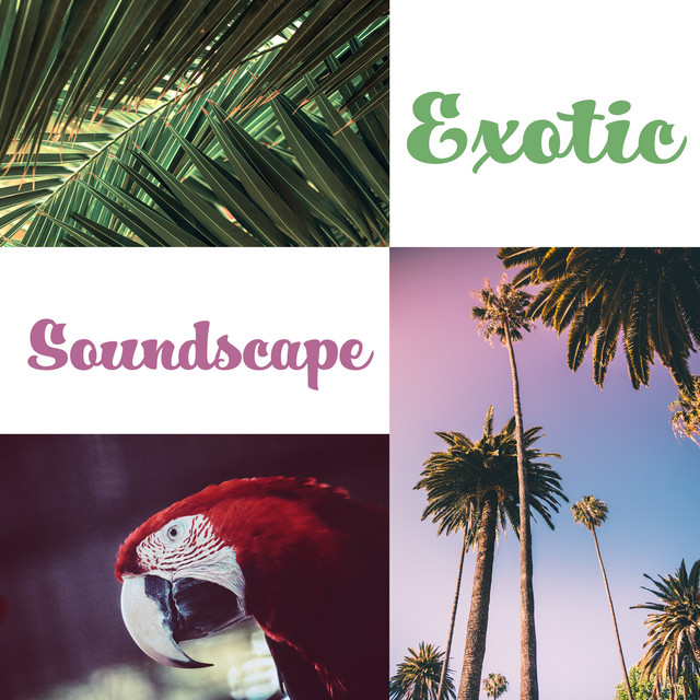 Exotic Soundscape (All Exotic Animal Sound Effect, Relaxing Journey ...