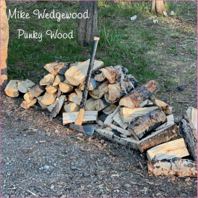 Punky Wood - Album by Mike Wedgewood | Spotify