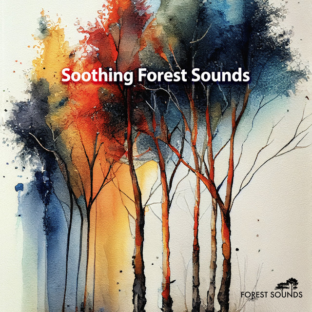 Soothing Forest Sounds - Album by Forest Sounds | Spotify