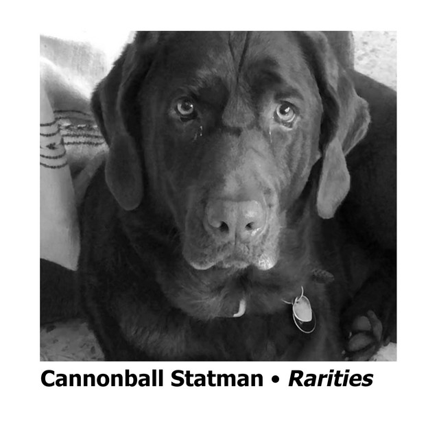 BPM and key for Animals by Cannonball Statman | Tempo for Animals ...