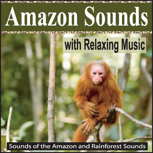 Search Results For Amazon music downloaded Freefy