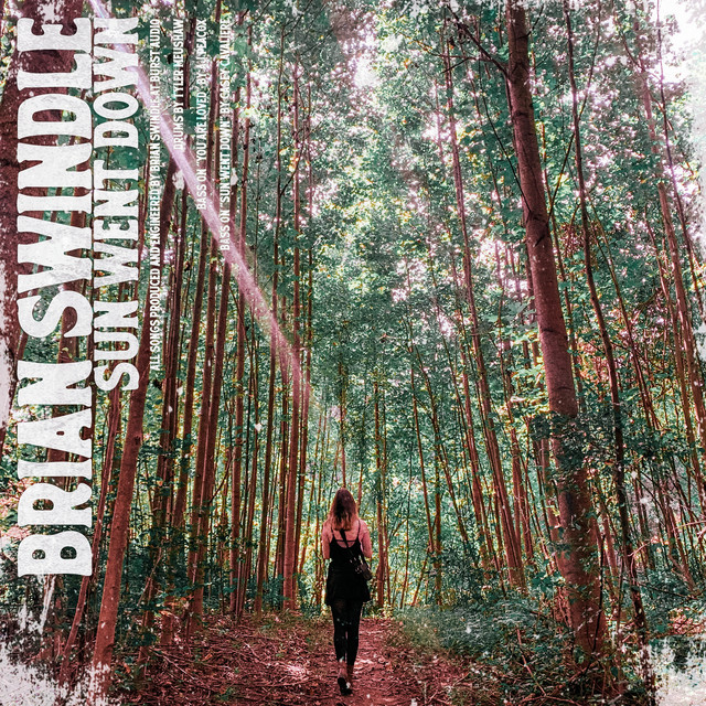 Sun Went Down - Single by Brian Swindle | Spotify
