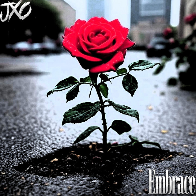 Embrace - Single by JXO tx | Spotify