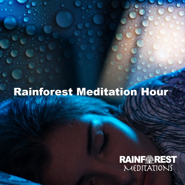 Rainforest Meditation Hour - Album by Rainforest Meditations | Spotify