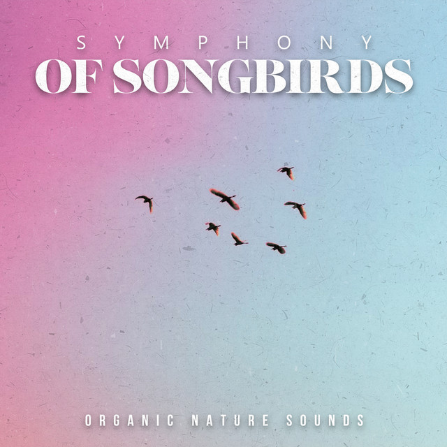 Symphony of Songbirds - Album by Organic Nature Sounds | Spotify