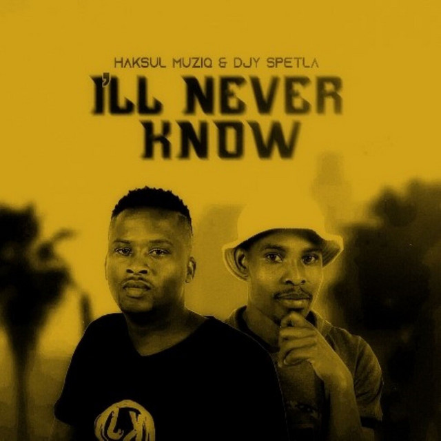 I'll Never Know - Single by Haksul Muziq | Spotify