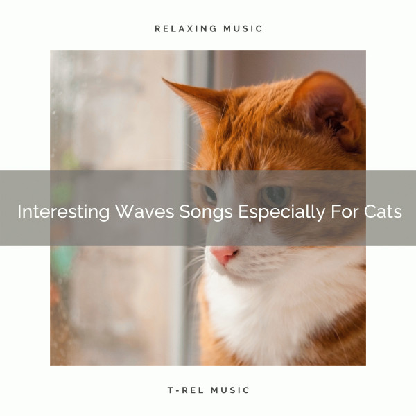 Interesting Waves Songs Especially For Cats - EP by Cat Relax | Spotify