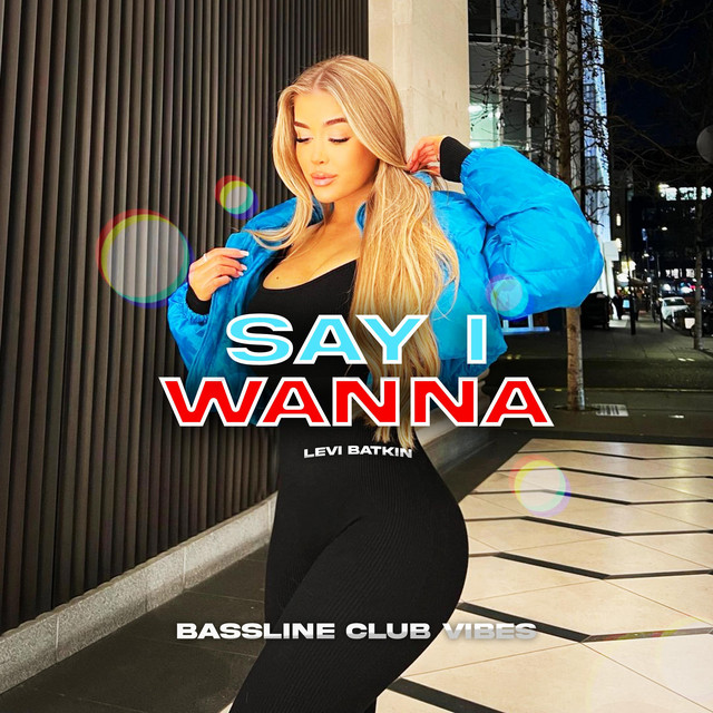 Say I Wanna - Single by Bassline Club Vibes | Spotify