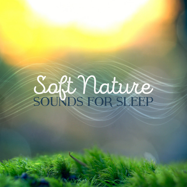 Soft Nature Sounds for Sleep - Album by Nature Sounds for Sleep and ...