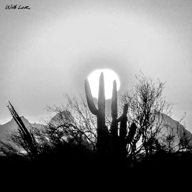 Lights Out - Single by John Wolf | Spotify