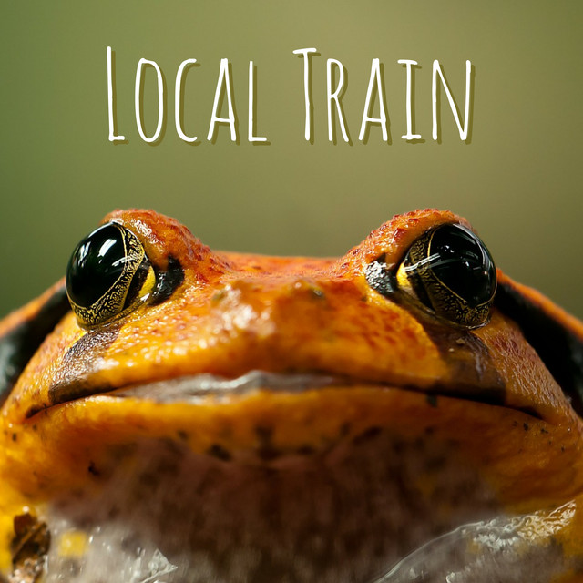 Local Train - song and lyrics by Pradip Biswas | Spotify