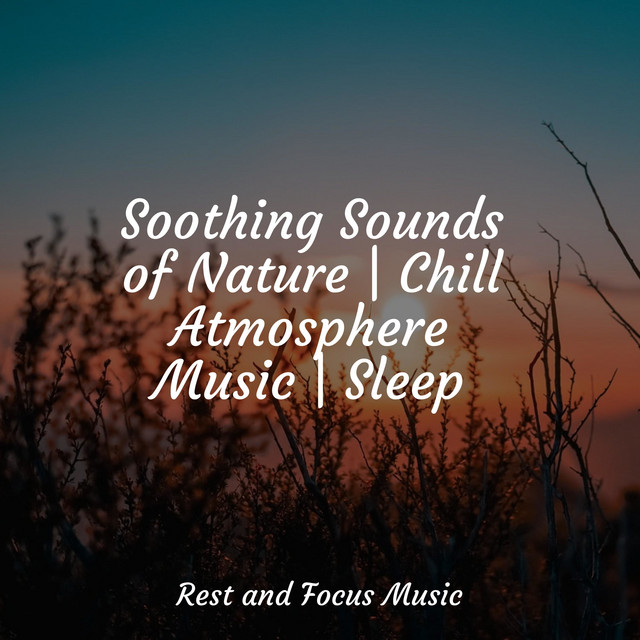 Soothing Sounds of Nature | Chill Atmosphere Music | Sleep - Album by ...