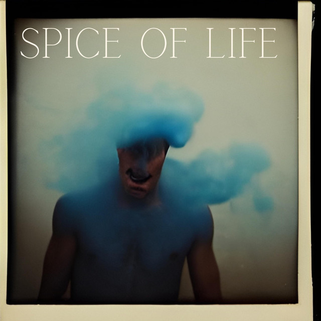 Spice of Life Concert & Tour History | Concert Archives