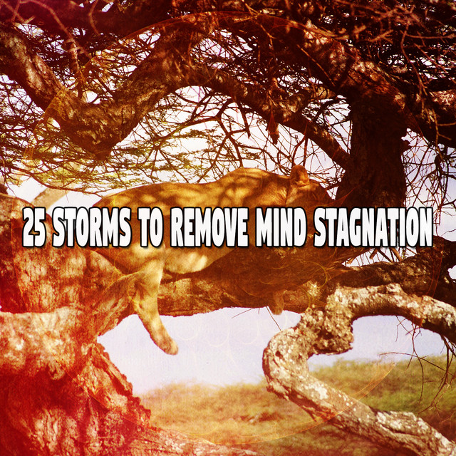 25 Storms To Remove Mind Stagnation - Album by Rain Man Sounds | Spotify