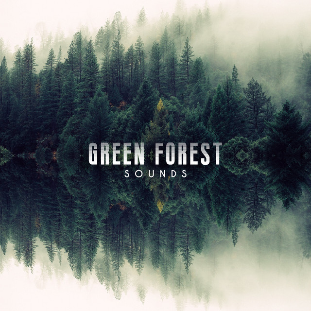 Dribbling Stream - song and lyrics by Forest Sounds | Spotify
