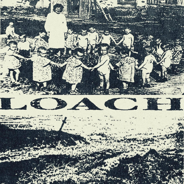 Loach | Spotify