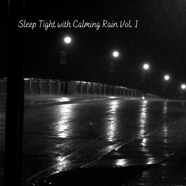 Summer Pour with Birds - song and lyrics by The Water Sleepers ...