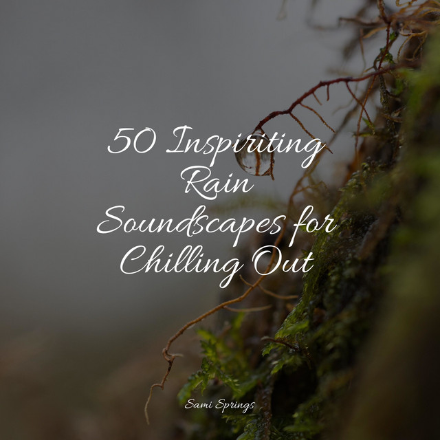 50 Inspiriting Rain Soundscapes for Chilling Out - Album by Pro Sound ...