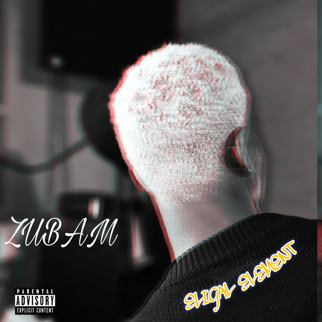 ELIGAL ELEMENT - song and lyrics by ZUBAM | Spotify