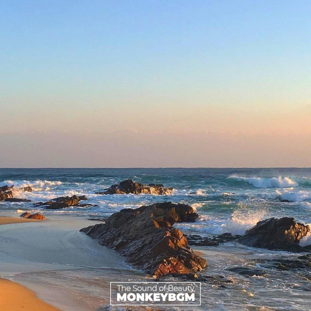The Sound of Beauty - Album by MONKEY BGM | Spotify