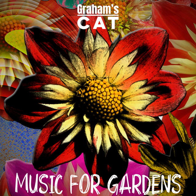 Graham's Cat | Spotify