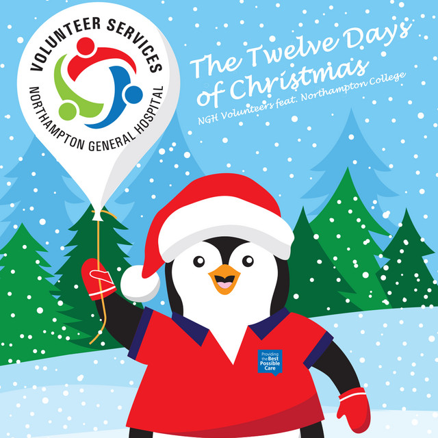 The Twelve Days of Christmas (Remix) - Single by NGH Volunteers | Spotify