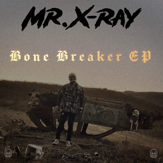 Mr. X-RAY | Spotify