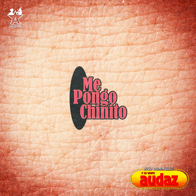 Me Pongo Chinito - Single by Rigo Dominguez Y Su Grupo Audaz | Spotify