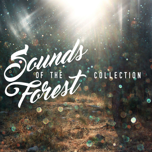 Sounds of the Forest Collection - Album by Nature Sounds Artists | Spotify