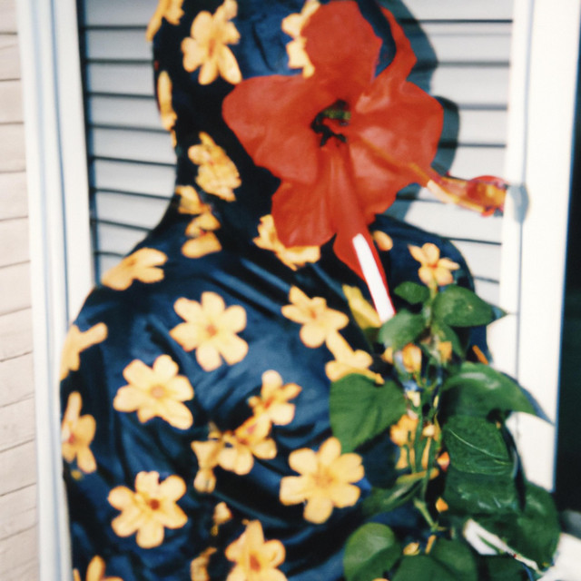 A Flower For Bees - EP by Forrest Darden | Spotify