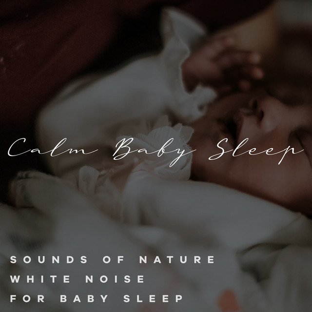 Calm Baby Sleep - Album by Sounds of Nature White Noise for Baby Sleep ...